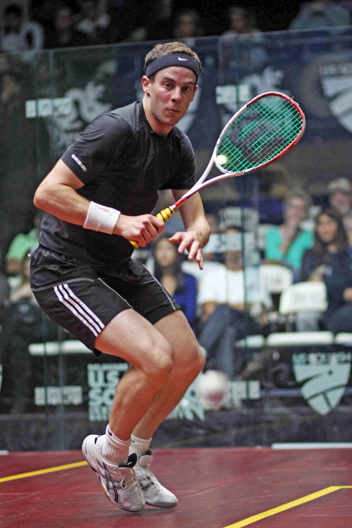Grayson Scalps Walker in Charlottesville Open - PSA Squash Tour