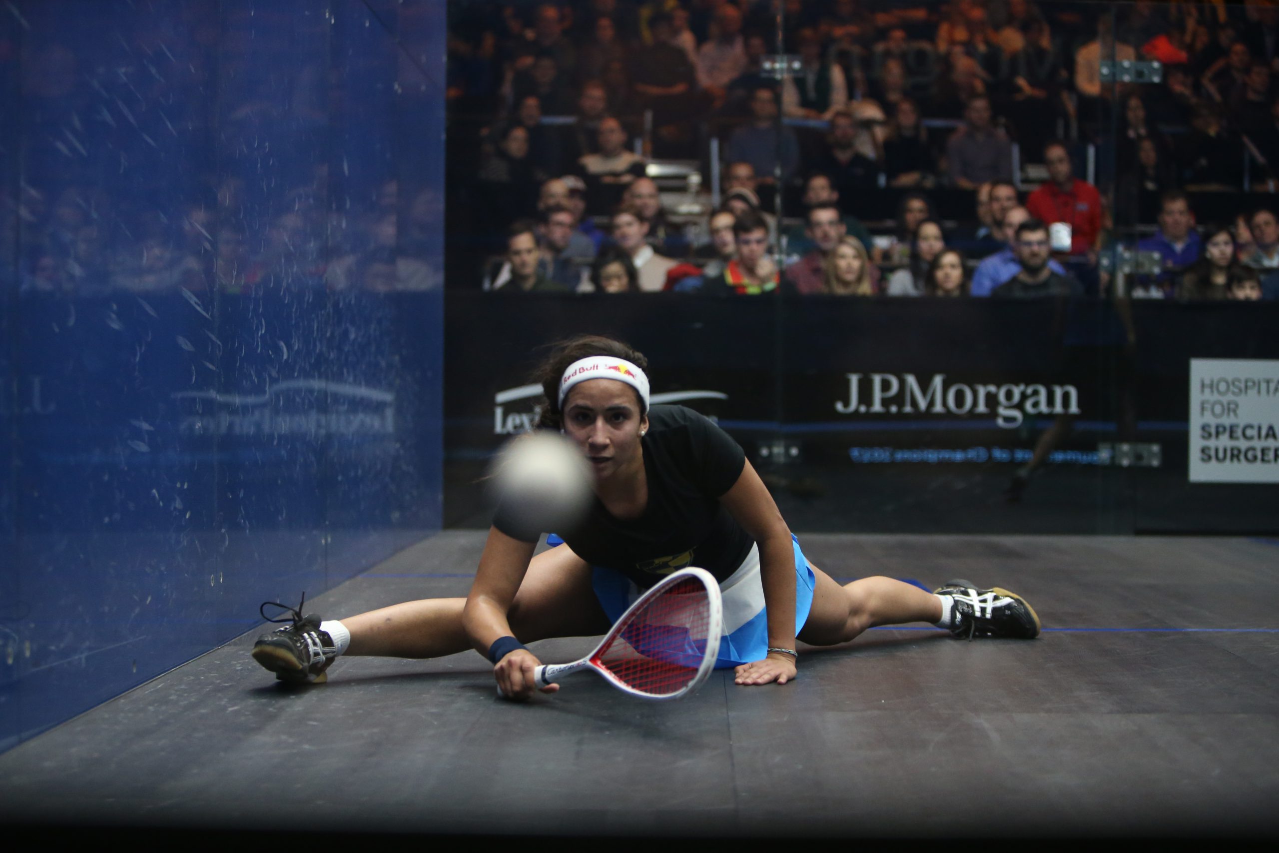 SquashSkills Blog: Flexibility for Squash - Part Two - PSA Squash Tour