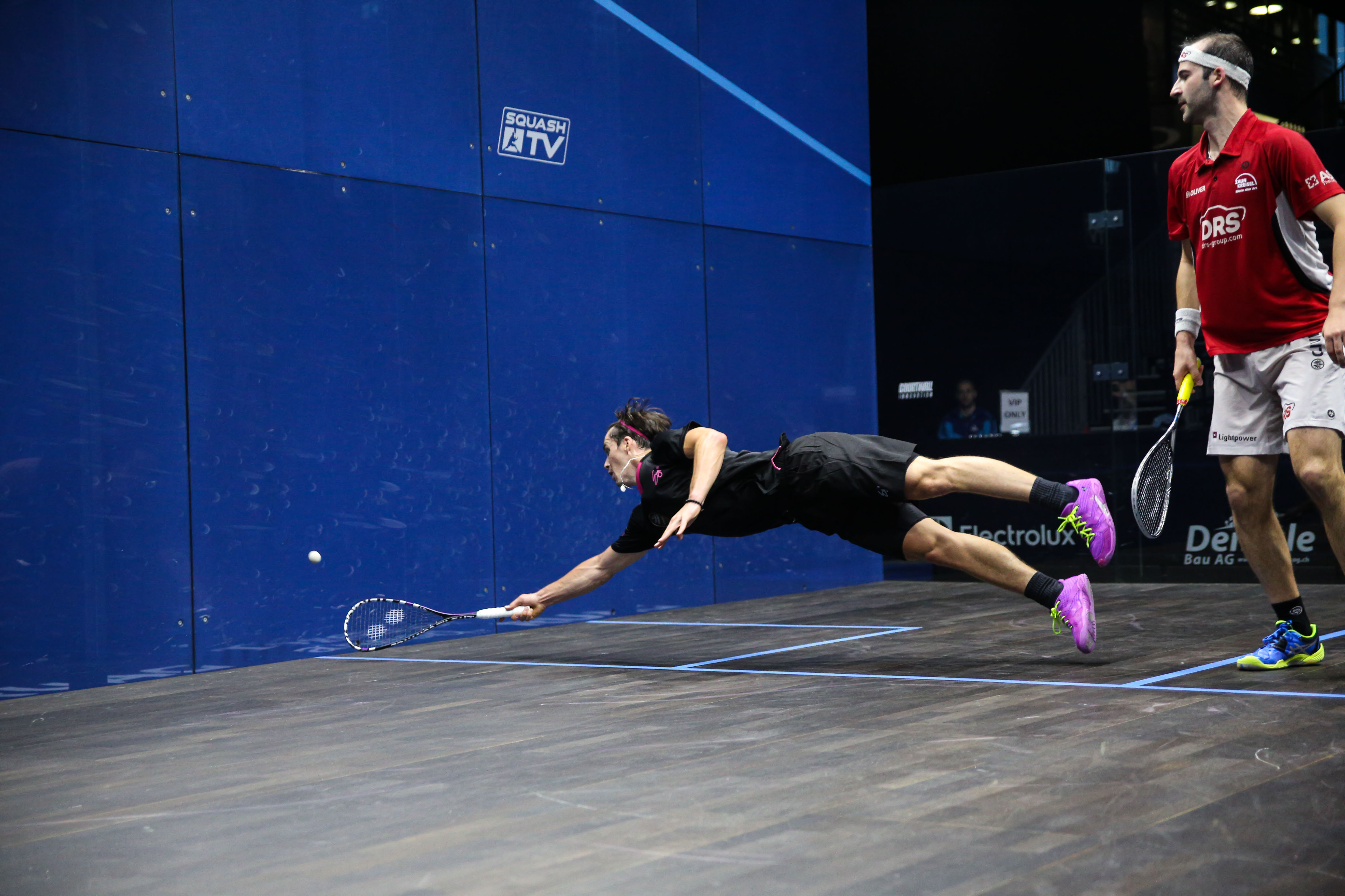 2016/17 Players Of The Year: Squash Fans - Have Your Say - PSA Squash Tour