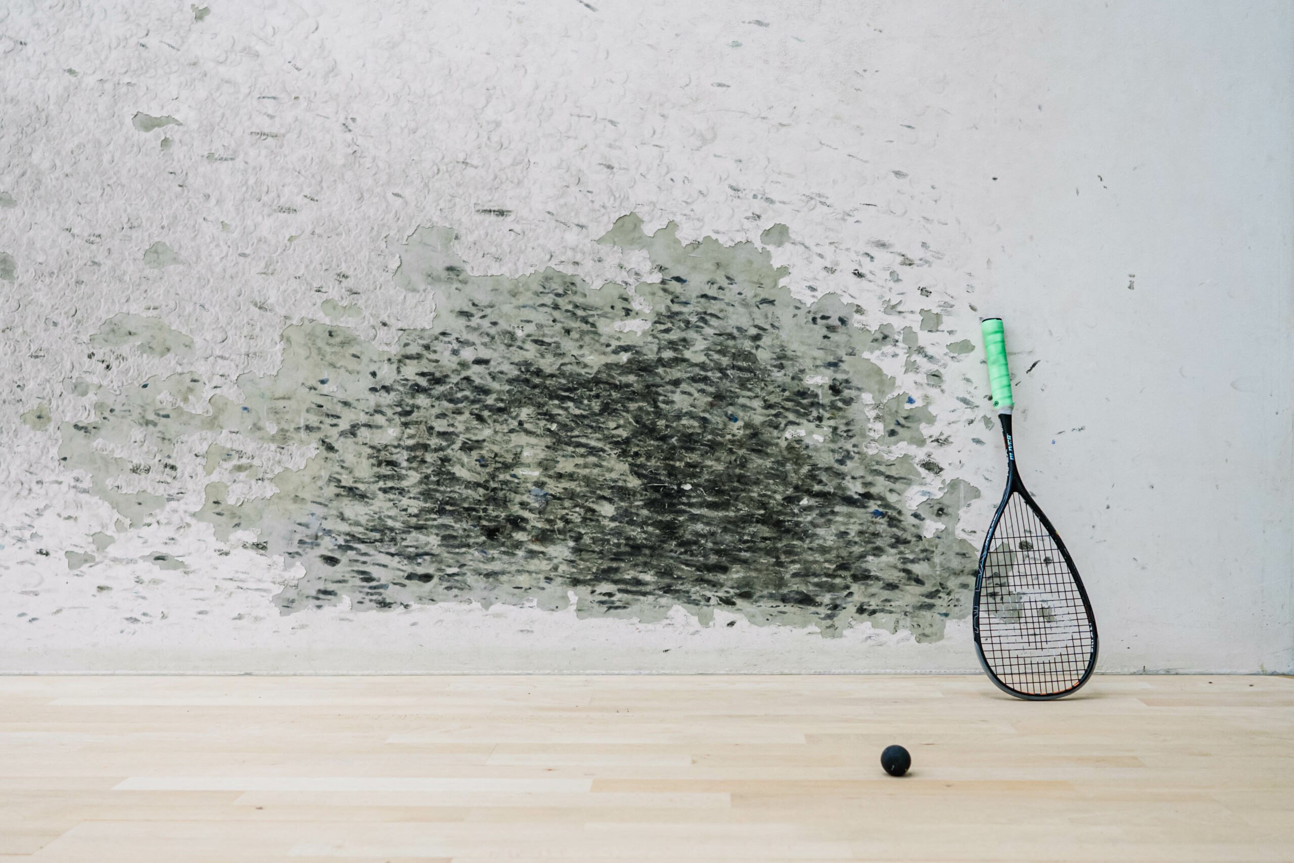 Ponta Lagoa Brazil Open: Melo Defeats Top Seed Gobbi To Lift Title ...