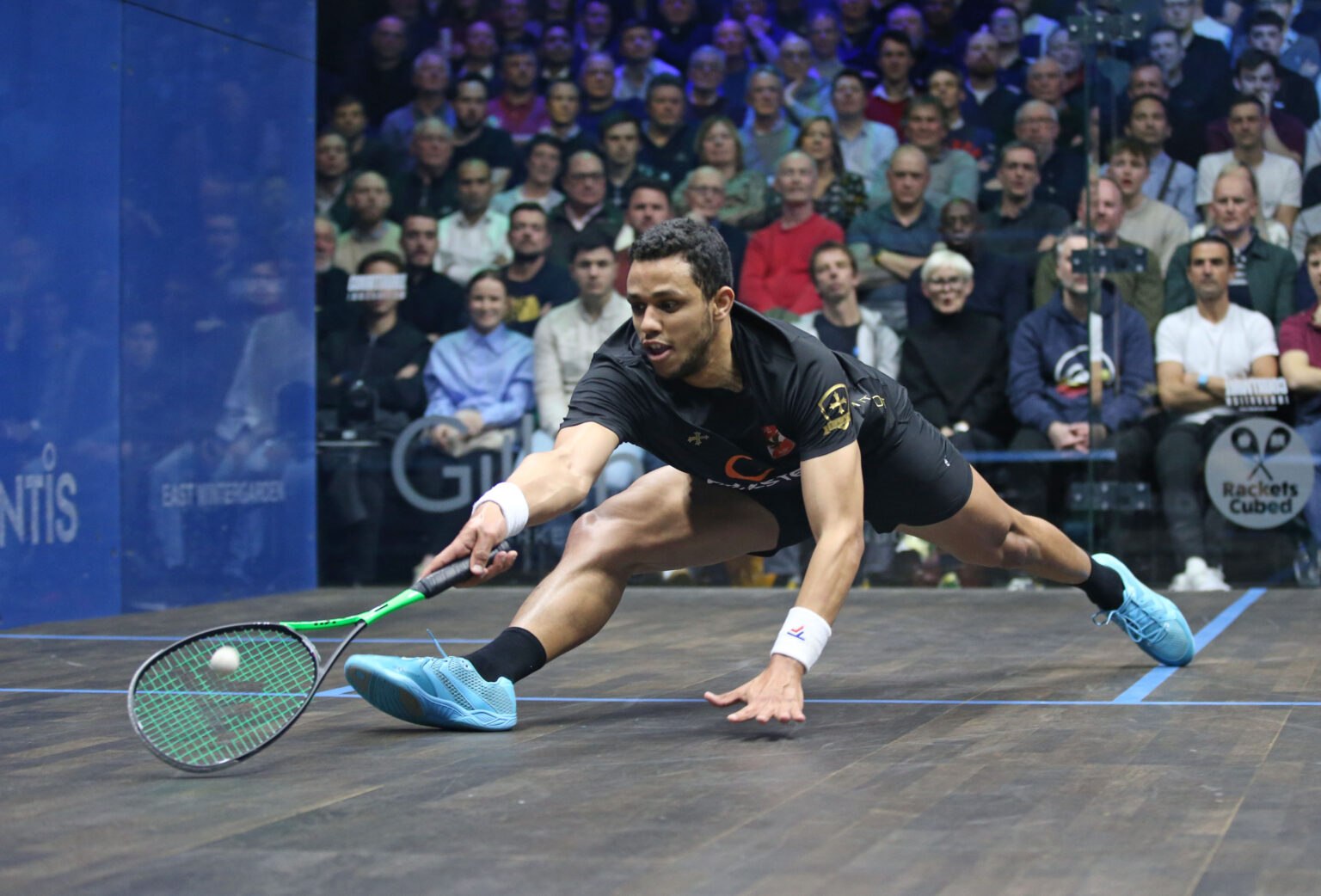 Gohar & Asal to Headline World Championships - PSA Squash Tour