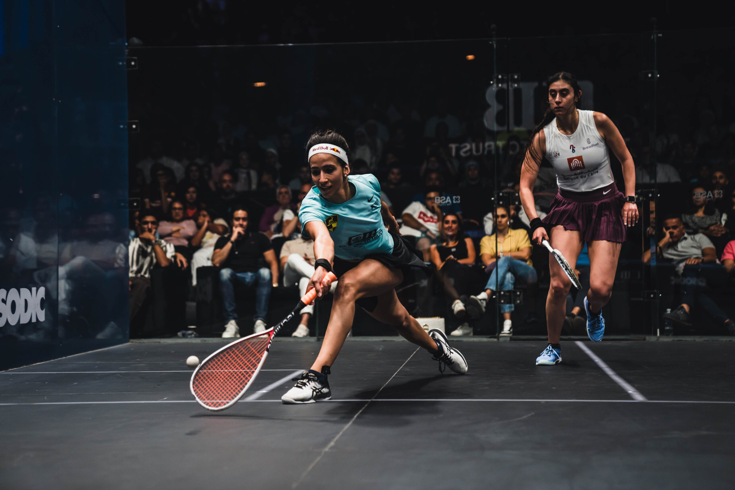 Florida Open: Preview & How To Watch Live - PSA Squash Tour