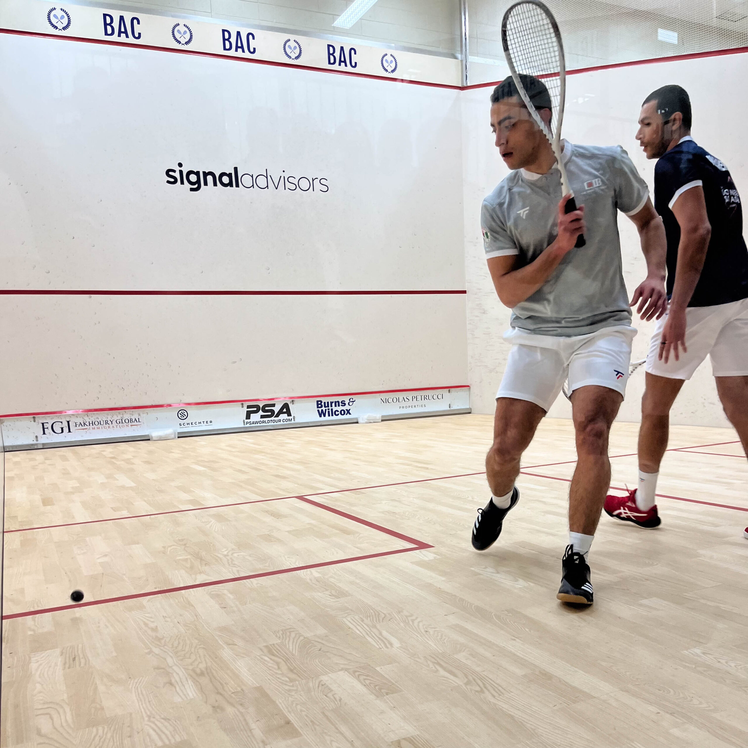 Motor City Open Semi-Finals: Preview & How To Watch Live - PSA Squash Tour